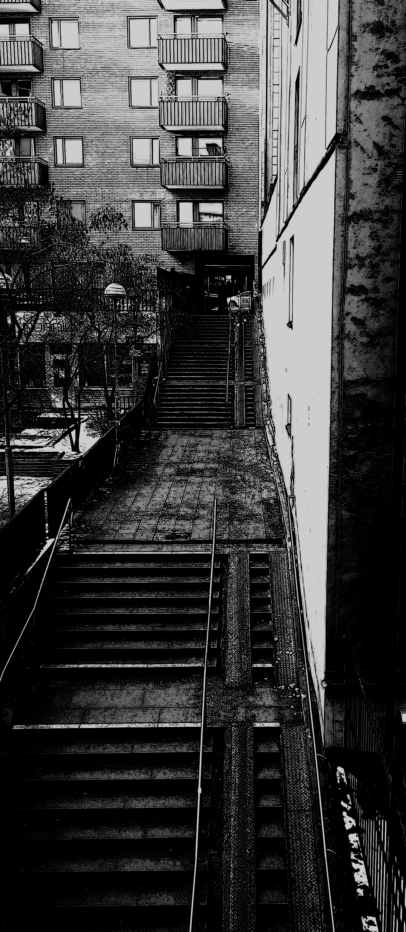 Little steps of grey can turn into color. | Yolanda and her creative scream