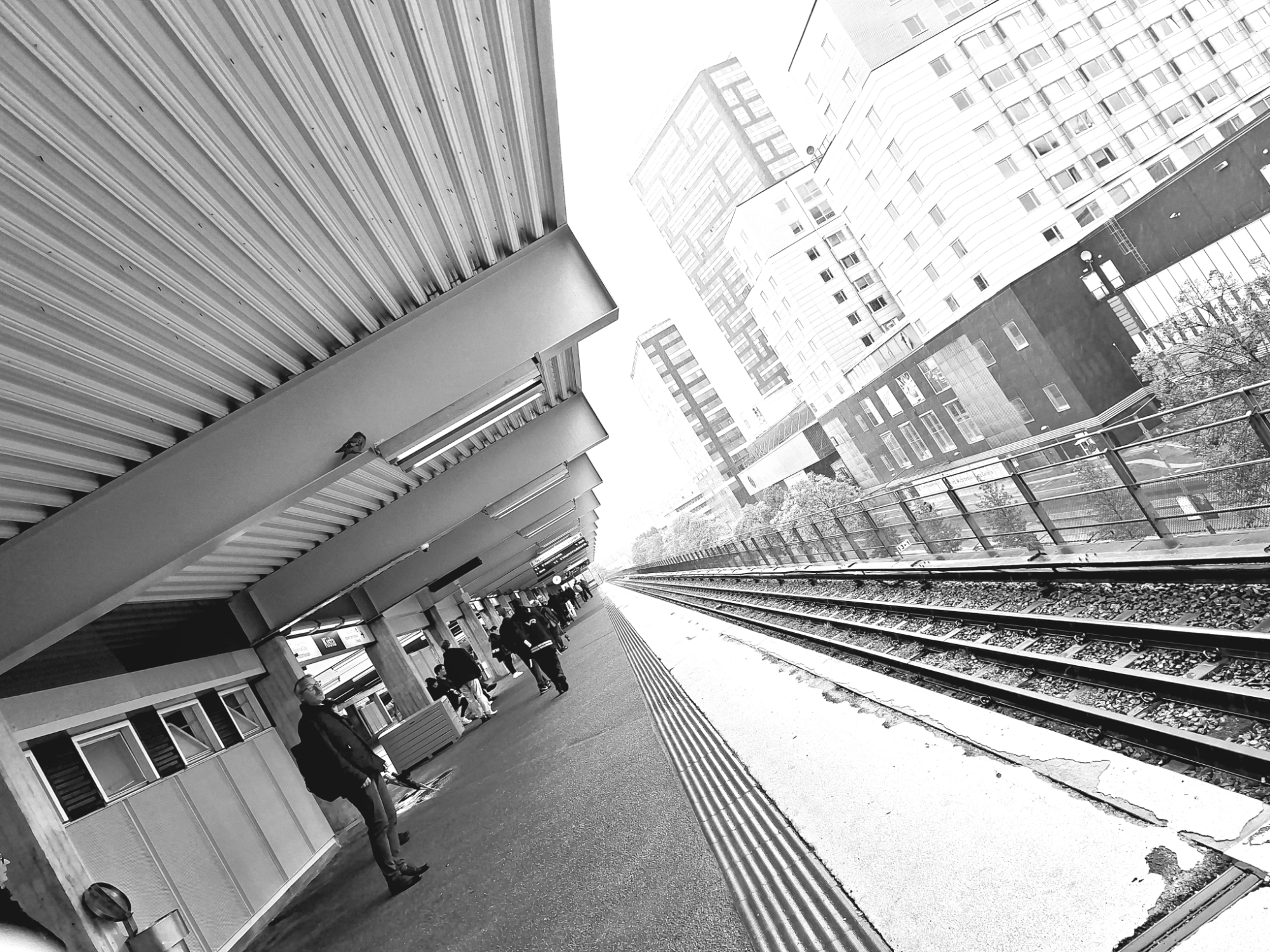 Perrong, Kista. | Yolanda and her creative scream