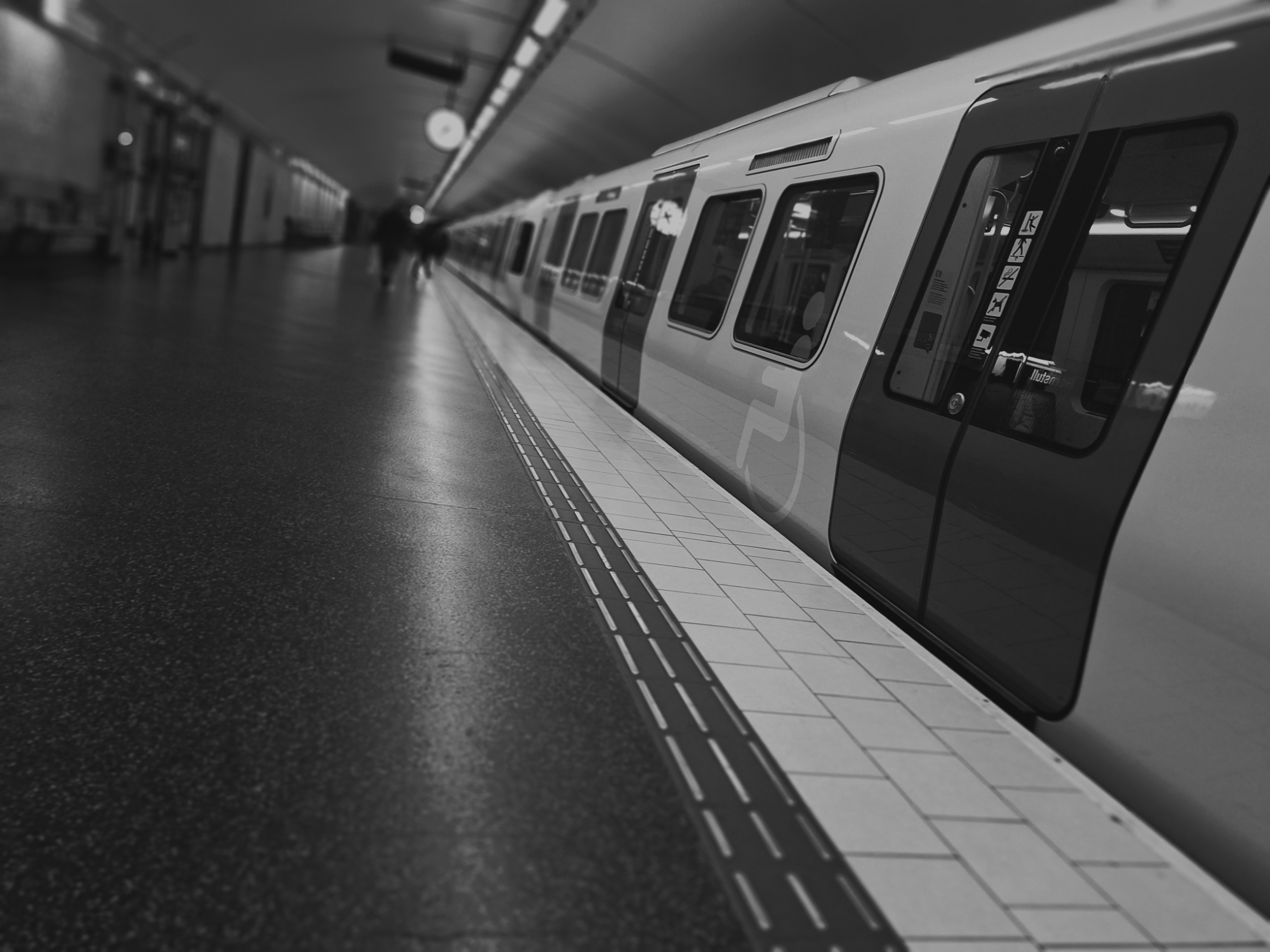 Metallisk perrong. | Yolanda and her creative scream