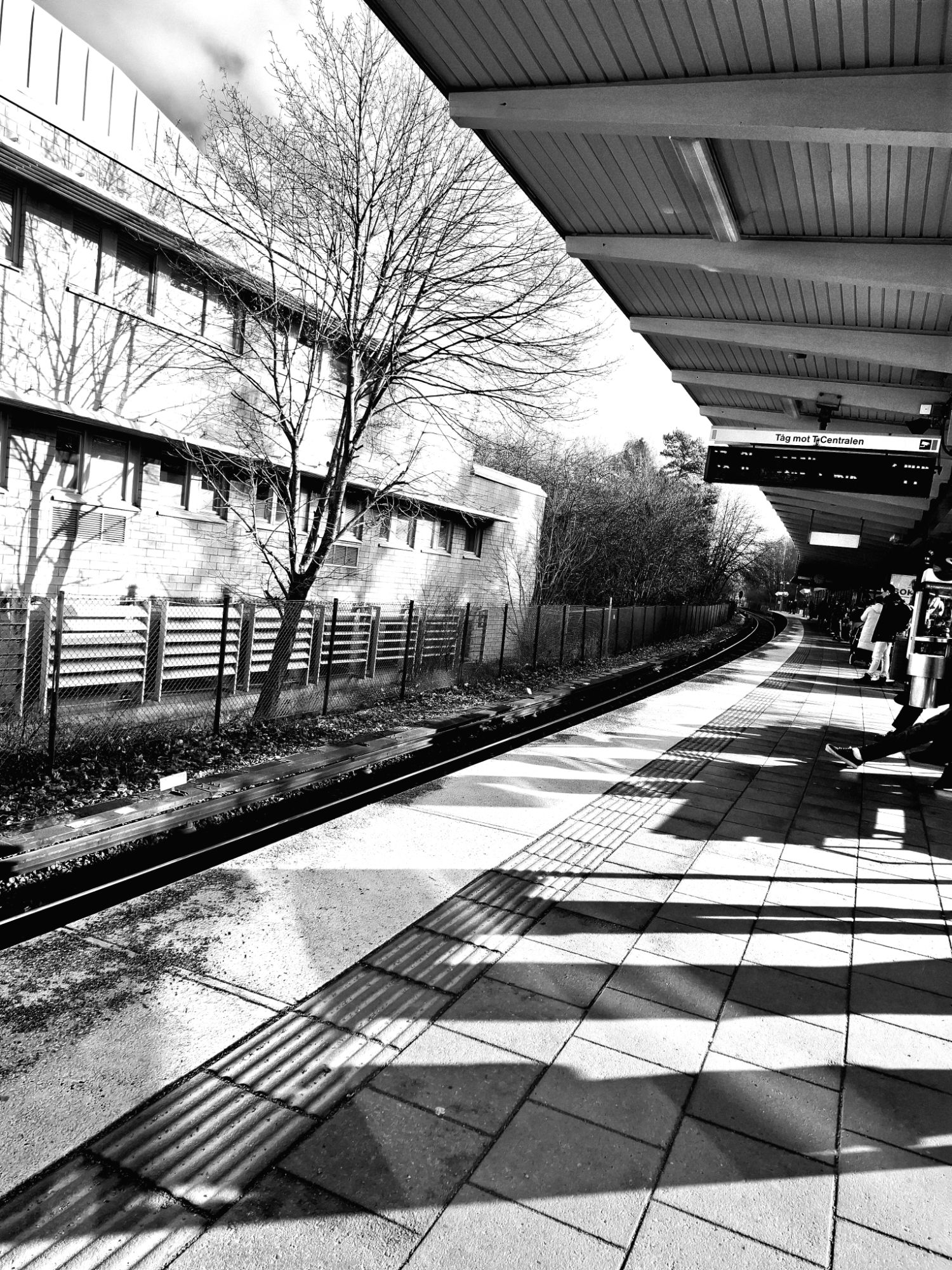 Perrong i solig skugga. | Yolanda and her creative scream