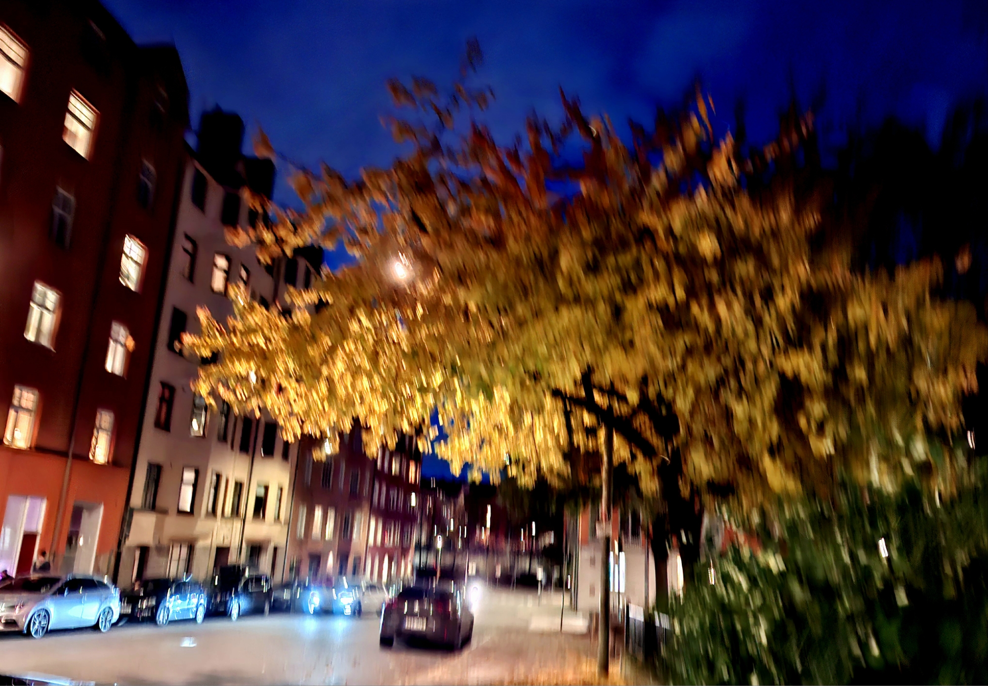 Autumn night. | Yolanda and her creative scream
